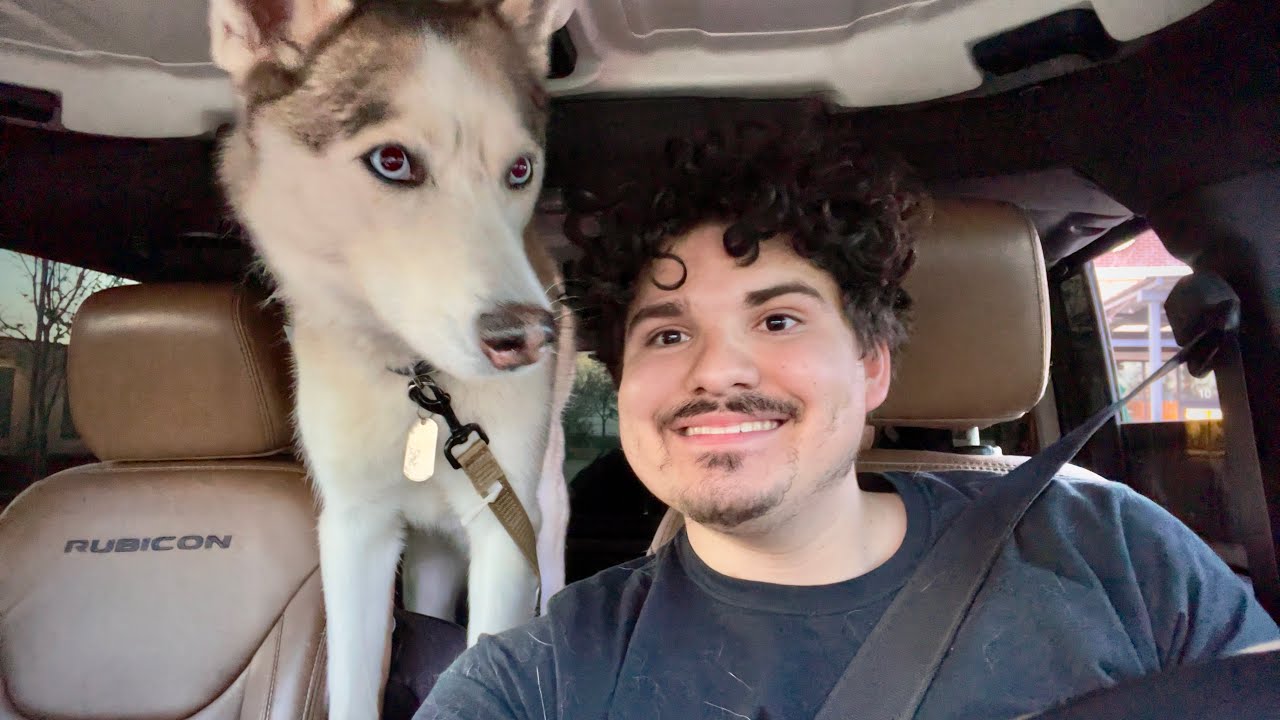 The Husky I traveled with - YouTube