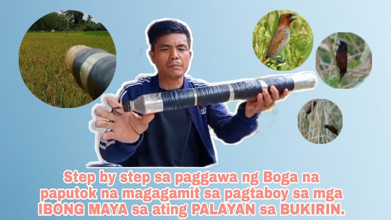 Papaano gumawa ng Boga na paputok na pantaboy sa mga Ibong maya sa ...