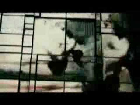 Gamer (2009) - Trailer Oficial Español [HQ] - YouTube