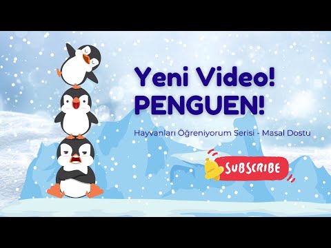 HAYVANLARI ÖĞRENİYORUM! - PENGUEN! - Masal Dostu. EĞİTİCİ ÇOCUK VİDEOLARI - HAYVANLAR SERİSİ.