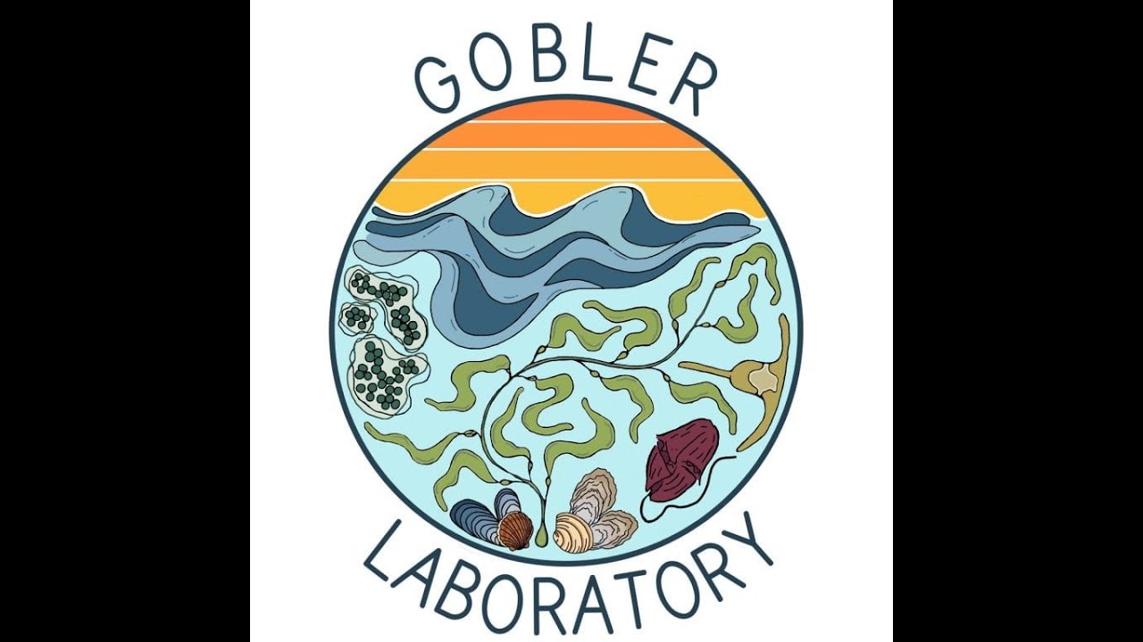 Decoding Harmful Algal Blooms with Molecular Tools - Dr. Christopher J ...