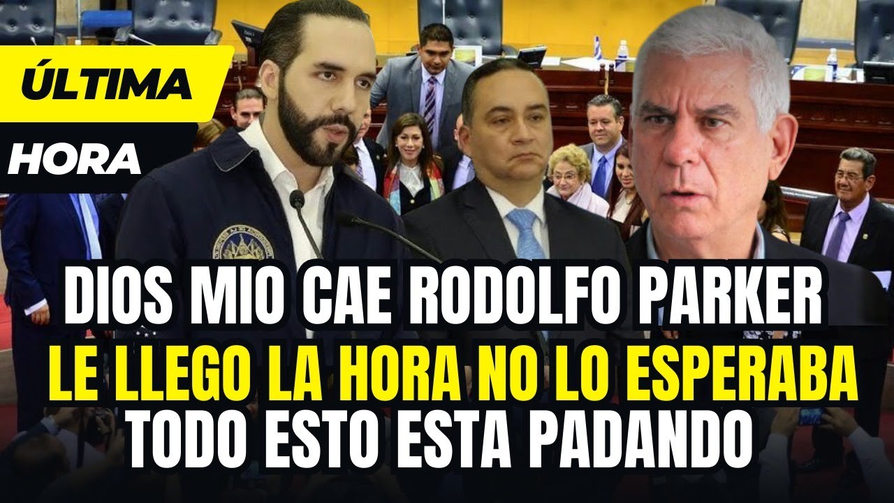 DIOS SANTO CAE RODOLFO PARKER LAS ACUSACIONES SON FUERTES LE LLEGO LA ...