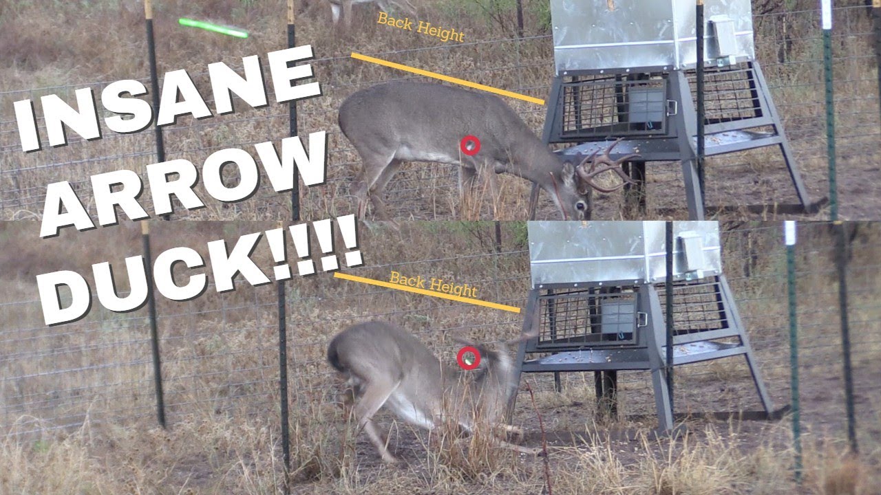 Big Buck | INSANE ARROW DUCK!!! - YouTube