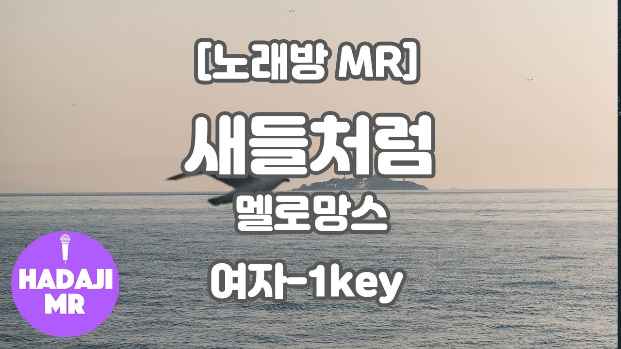 [DJ노래방/멜로디O] 멜로망스 - 새들처럼 MR (B 여자-1key) / 하다지MR - YouTube