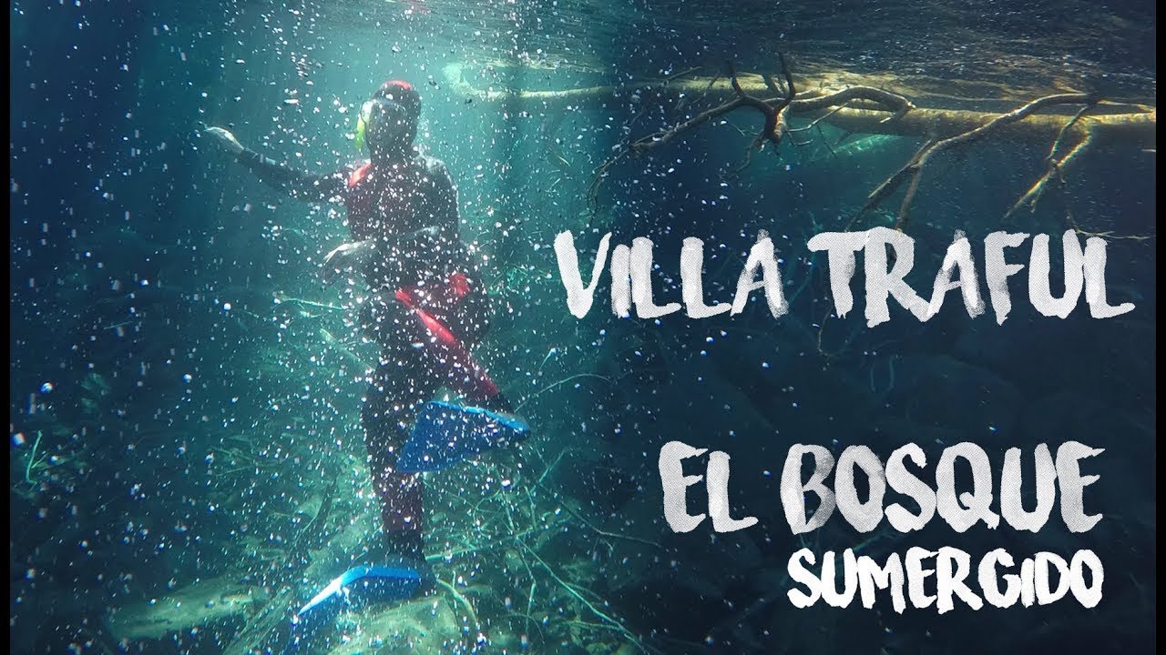 Conocimos el famoso Bosque Sumergido en Traful - YouTube