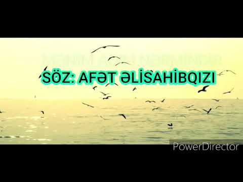 Mənim adım Nərmindi