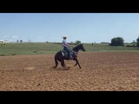 LOT 24- 2020 PHILIPP RANCH PRODUCTION HORSE SALE - YouTube