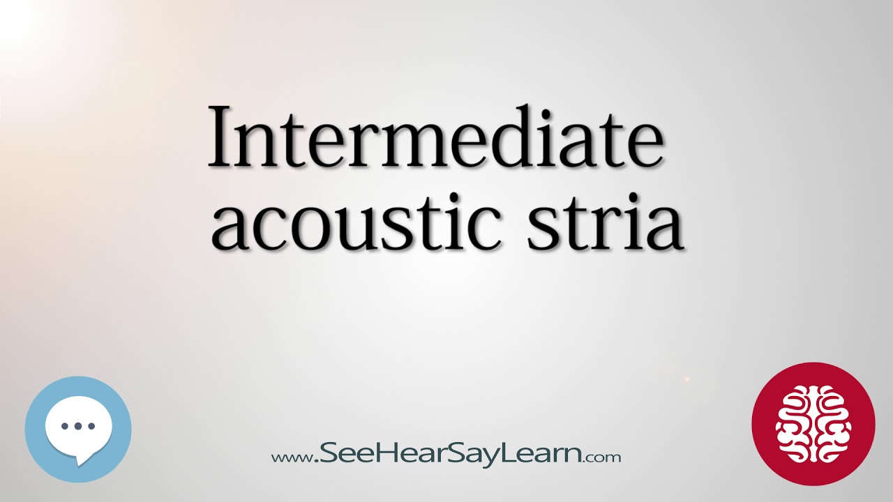 Intermediate acoustic stria Anatomy of the Brain SeeHearSayLearn 🔊 ...