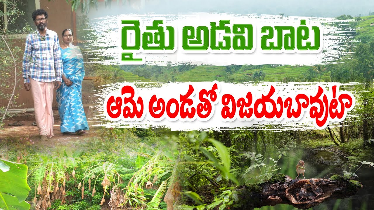 అటవీ సేద్యంలో భర్తకు తోడుగా భార్య | Prasad Reddy - Vanaja - YouTube