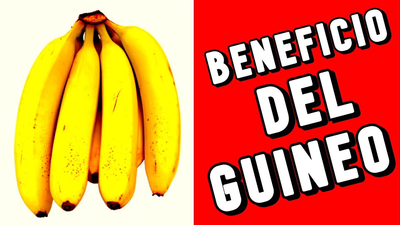 Los Increíbles Beneficios del Guineo: Potencia tu Salud de forma ...