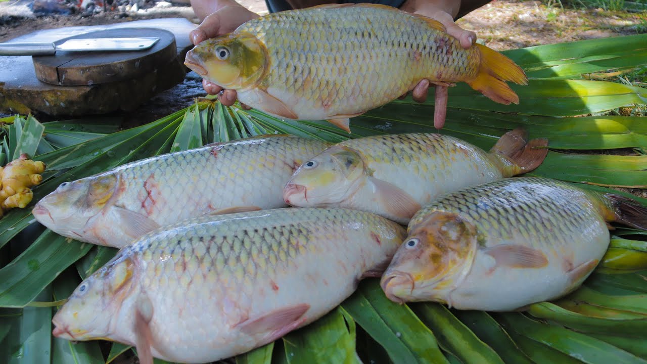 BIG FISH RECIPE - Cooking Tasty Big Fish with Ginger Recipe - YouTube