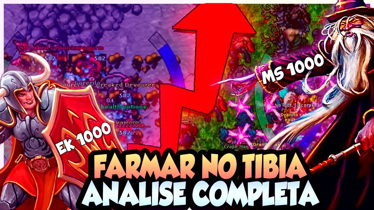 TIBIA - ANALISE COMPLETA SOBRE FARM RL (KNIGHT E SORCERER) - YouTube