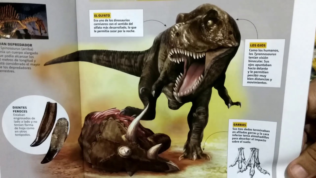 Nueva Coleccion El Gran Libro de los Dinosaurios n°1 - YouTube