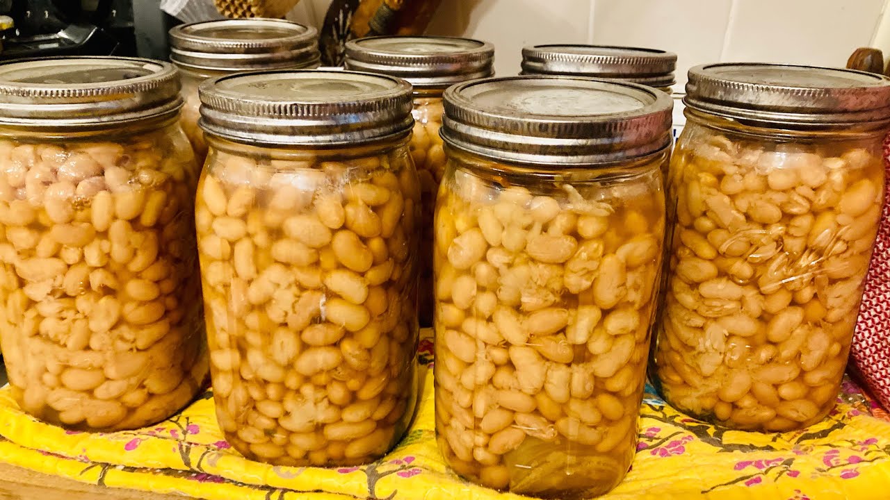 The BEST Bean EVER! The Mayocoba Bean! - YouTube