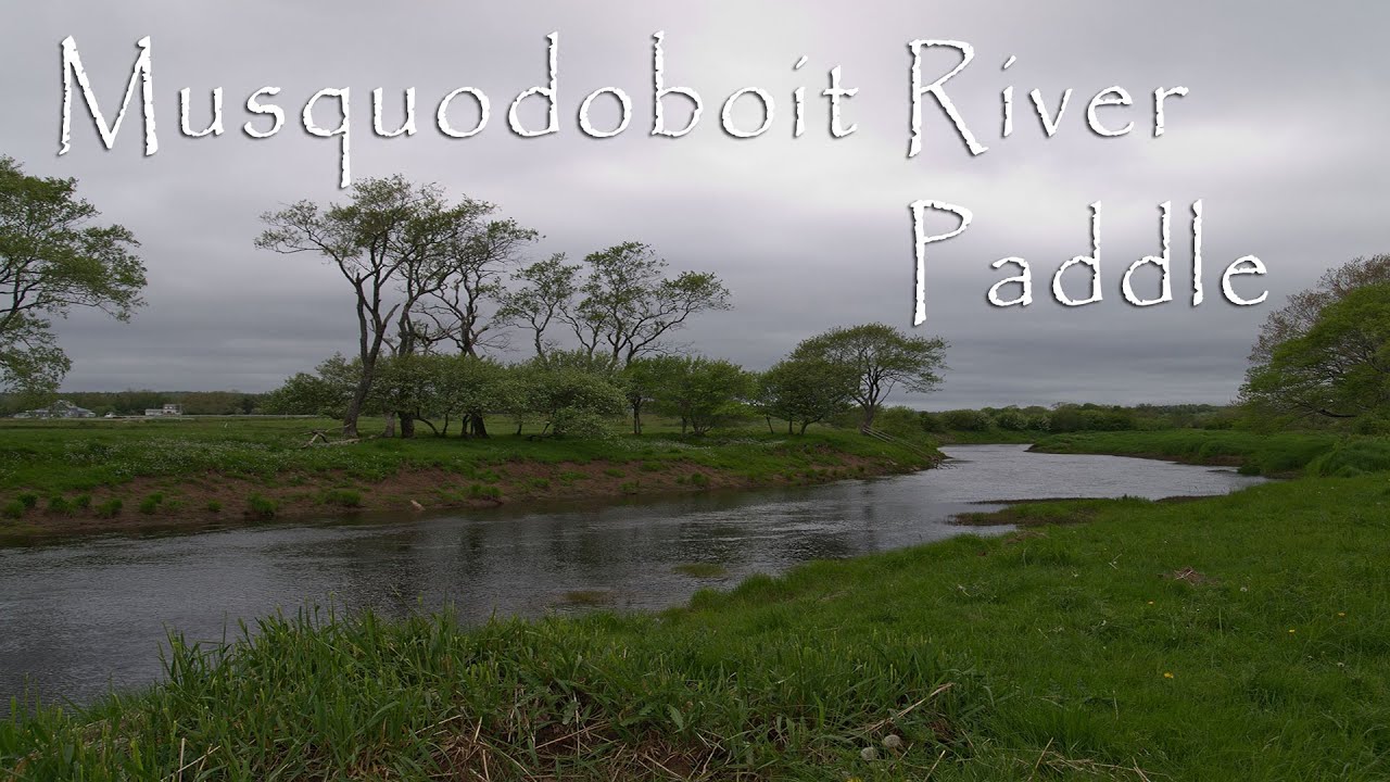 Canoeing The Musquodoboit River, Nova Scotia. - YouTube