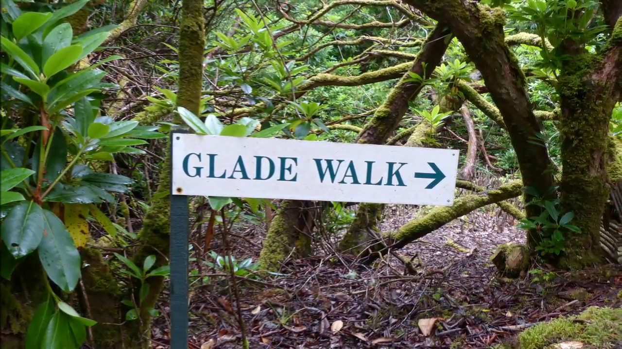 Derreen Garden im County Kerry, Irland - YouTube
