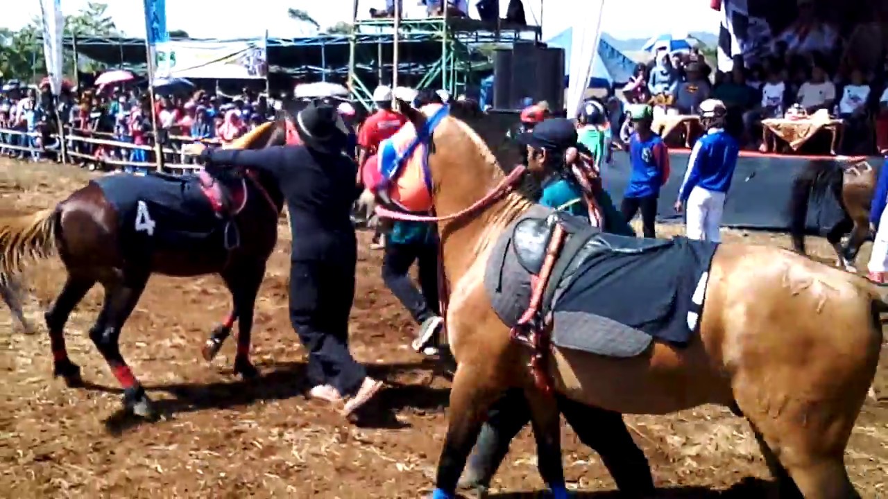 PACUAN KUDA KUNINGAN, AJANG WISATA DAN PRESTASI - YouTube