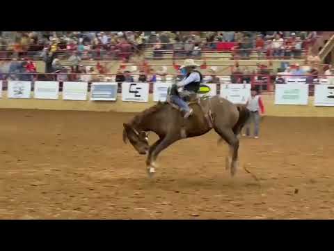 Athens, TX Saturday 2023 PRCA Rodeo Bronc 113 “All or Nothing” Andrews ...