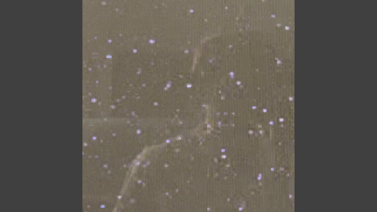 human charade (feat. J. Fisher) - YouTube