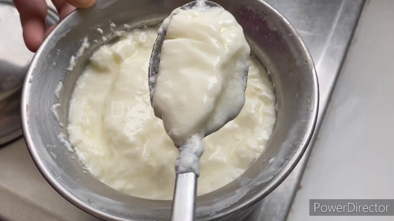 Dahi recipe | Milk Powder | दही Recipe - YouTube