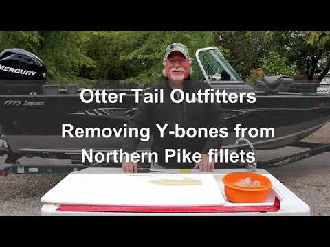 How to remove Y bones from Northern Pike fillets - YouTube