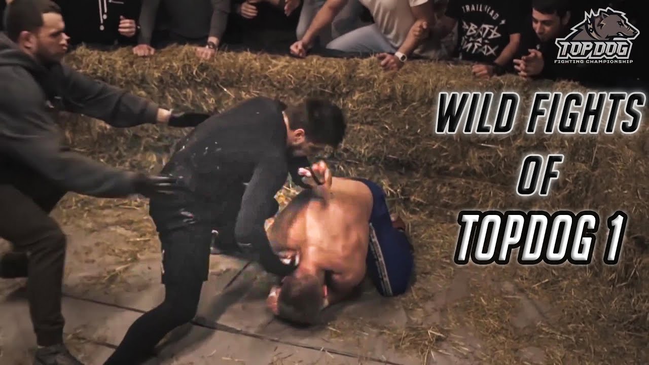 Best Fights and KO of TOP DOG 1 | Bare Knuckle Boxing Championship ...