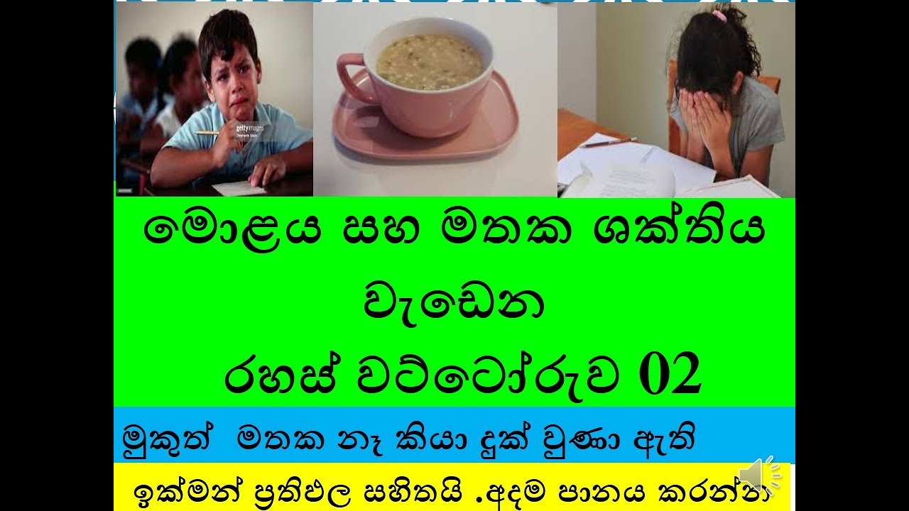 මොළය සහ මතකය වර්ධනය වන වට්ටෝරුව02/නොමිලේ සම්මන්ත්‍රණ/කෙටි ක්‍රම/විභාග ...