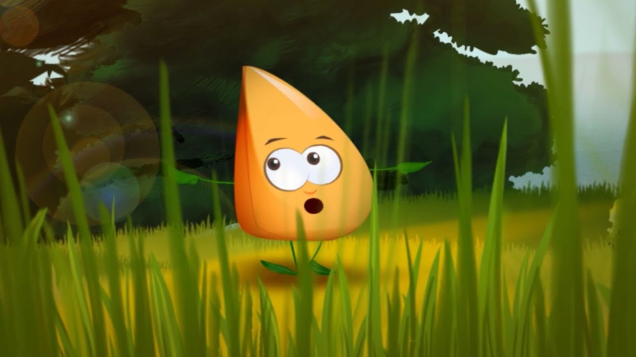 La canzone di "Le avventure di Sem piccolo seme" - YouTube