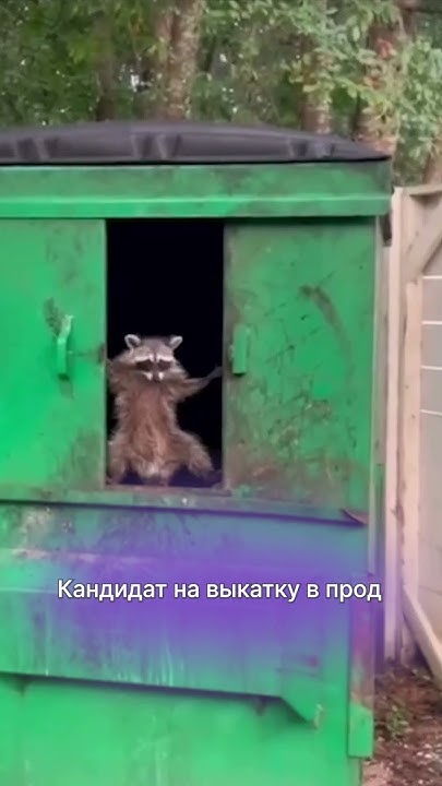 Катись в прод слёрм Programming Shorts юмор Youtube