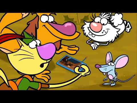 Nature Cat Season 1 Episode Ants Revolution / Tide Pool Tough - YouTube