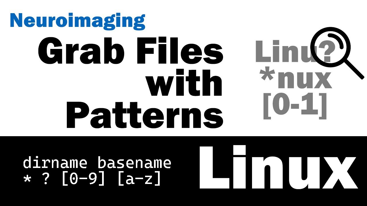 Meta Characters Dirname Basename Linux Workshop For Neuroimaging And Bioinformatics Part 7