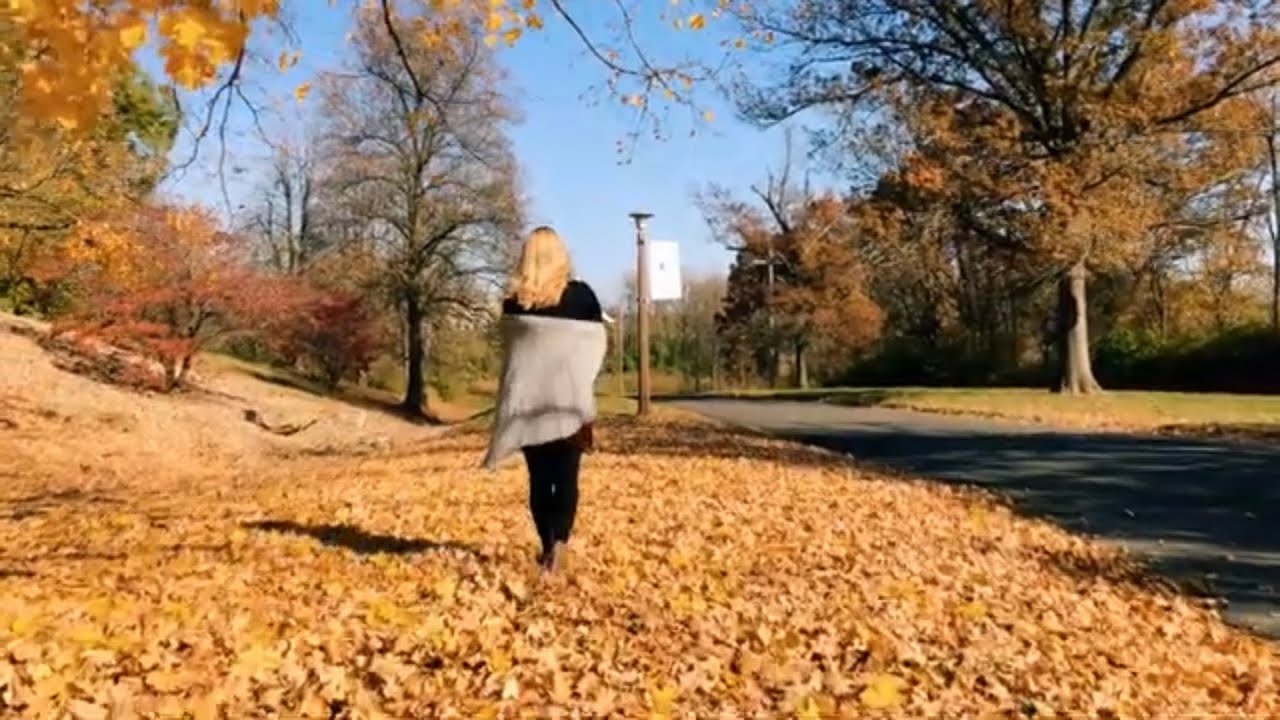 Cinematic video fall season - YouTube