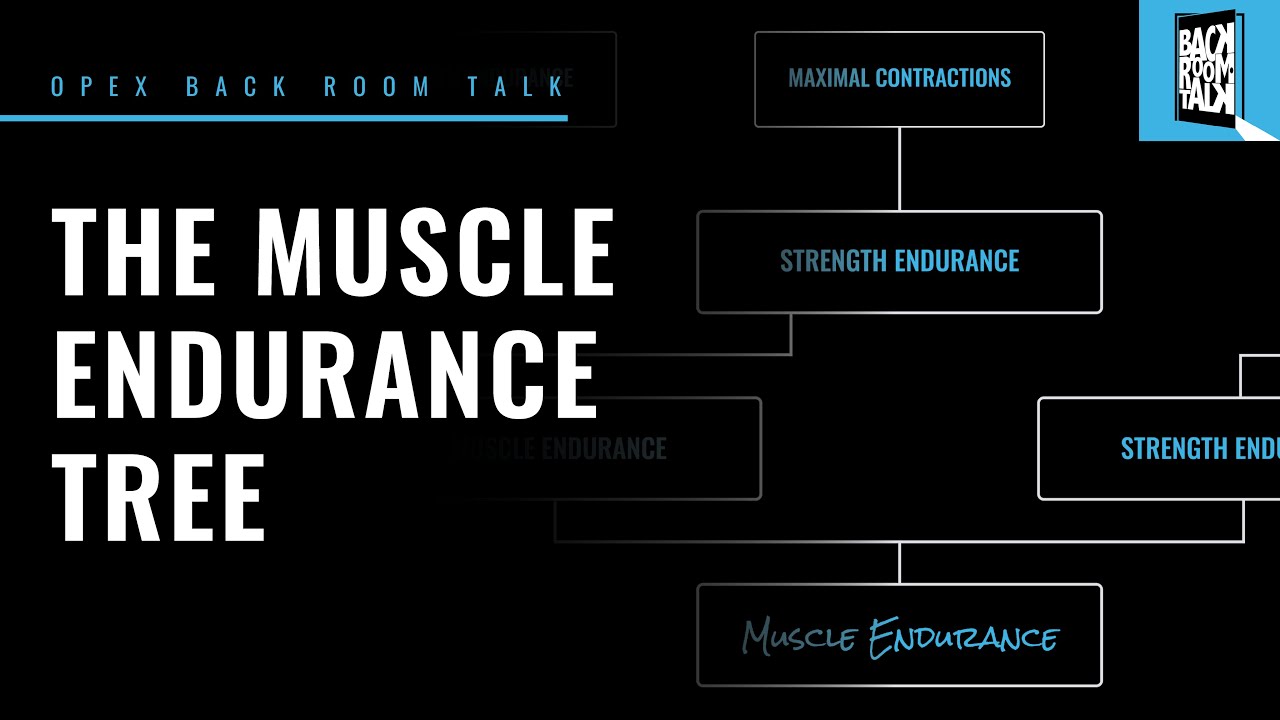 #49 - The Muscle Endurance Tree - Back Room Talk - YouTube