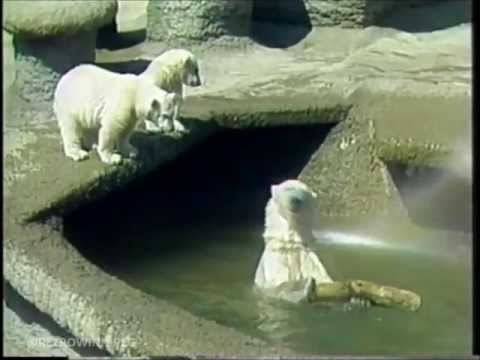Size Small - Debby the Polar Bear (1982) - YouTube