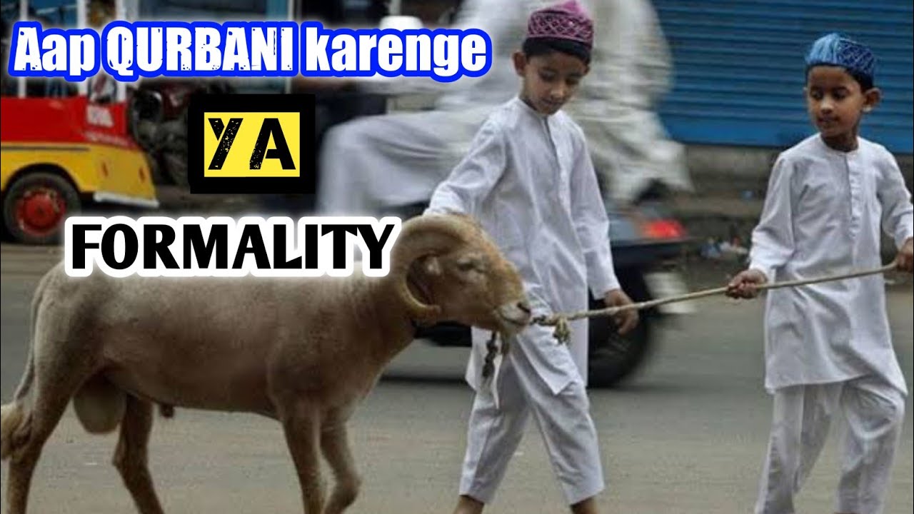Me To Qurbani Karunga | Love Your Animals | Instill in your hearts the ...