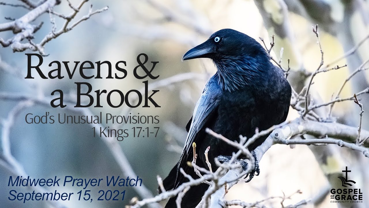 Midweek Prayer Watch | September 17, 2021 | Ravens and a Brook - YouTube