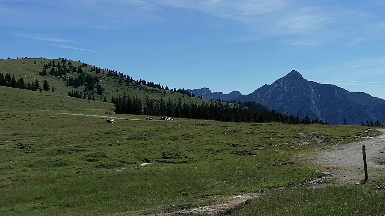 Wandern auf der Postalm – Naturerlebnis in Österreich 🥾🏞️ - YouTube