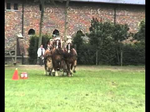 Menwedstrijd trekpaarden Diepensteyn Jan Toye..wmv - YouTube