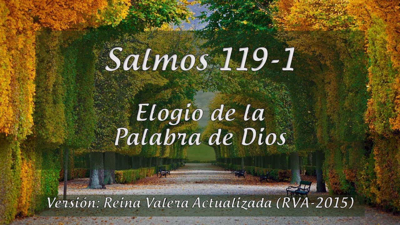 📖 LIBRO DE SALMOS - Salmos No. 119-1 / BOOK OF PSALMS - Psalms No. 119 ...