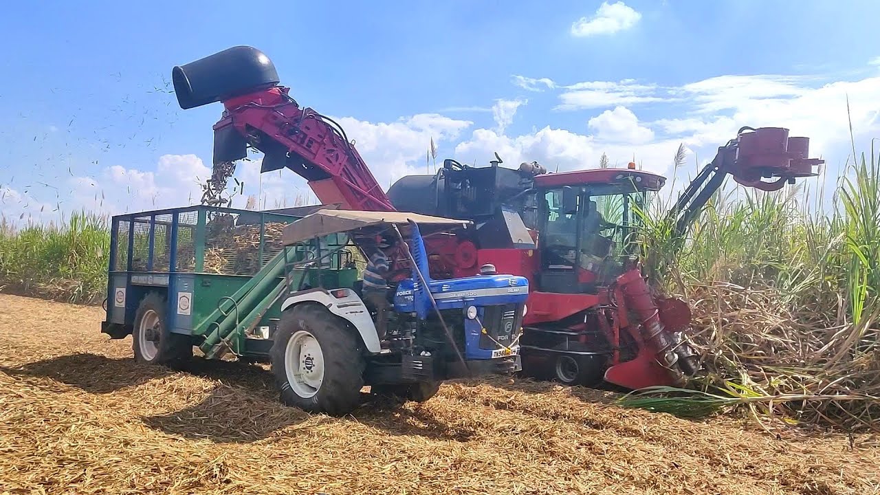 Case IH Austoft 8000 Sugar cane Harvester | Force Balwan 500 | Full ...