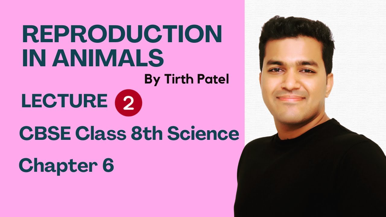 Reproduction in Animals | #2 | Class 8 Science | NCERT | CBSE | Chapter ...
