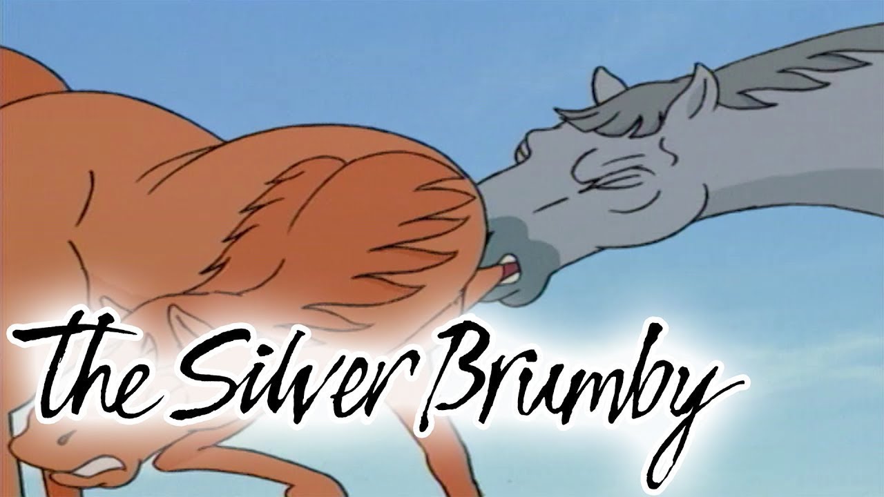 The Silver Brumby | Thowra saves the day | HD | Full Episode | Videos ...
