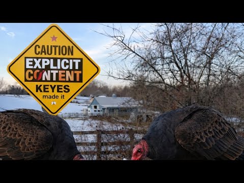 KEYES MADE IT - Company ( Official Music Video )