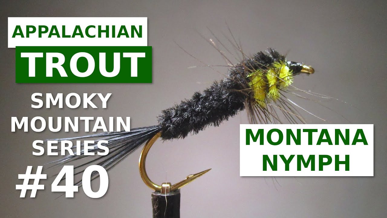 Montana Nymph - Fly Tying Appalachian/Great Smoky Mountain Trout ...