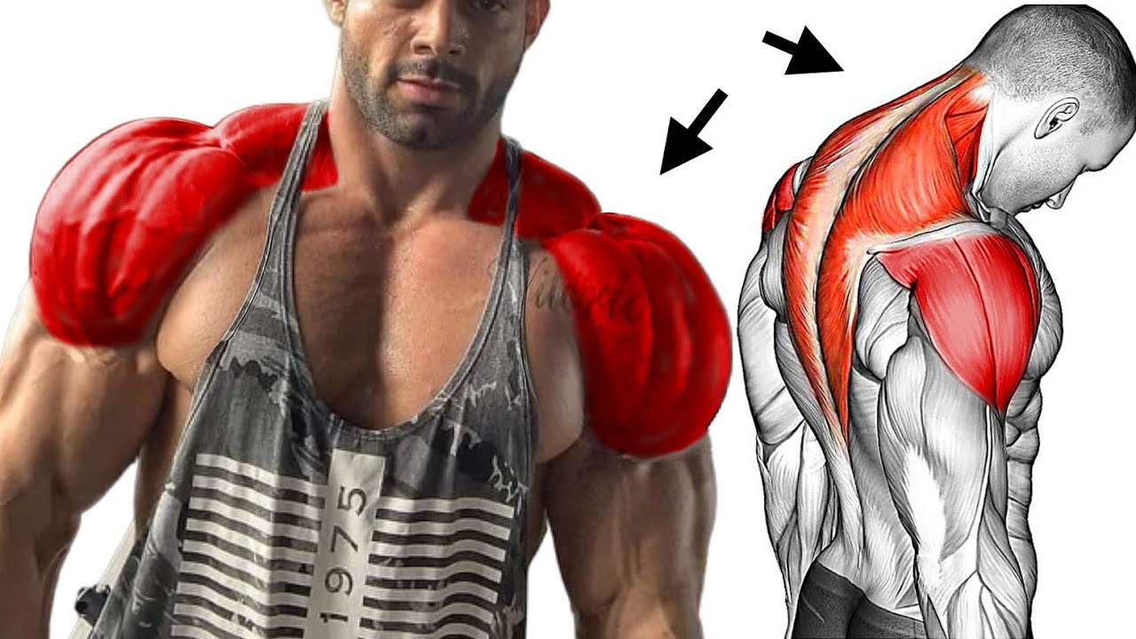 best shoulder traps workout gym for huge Mass - YouTube