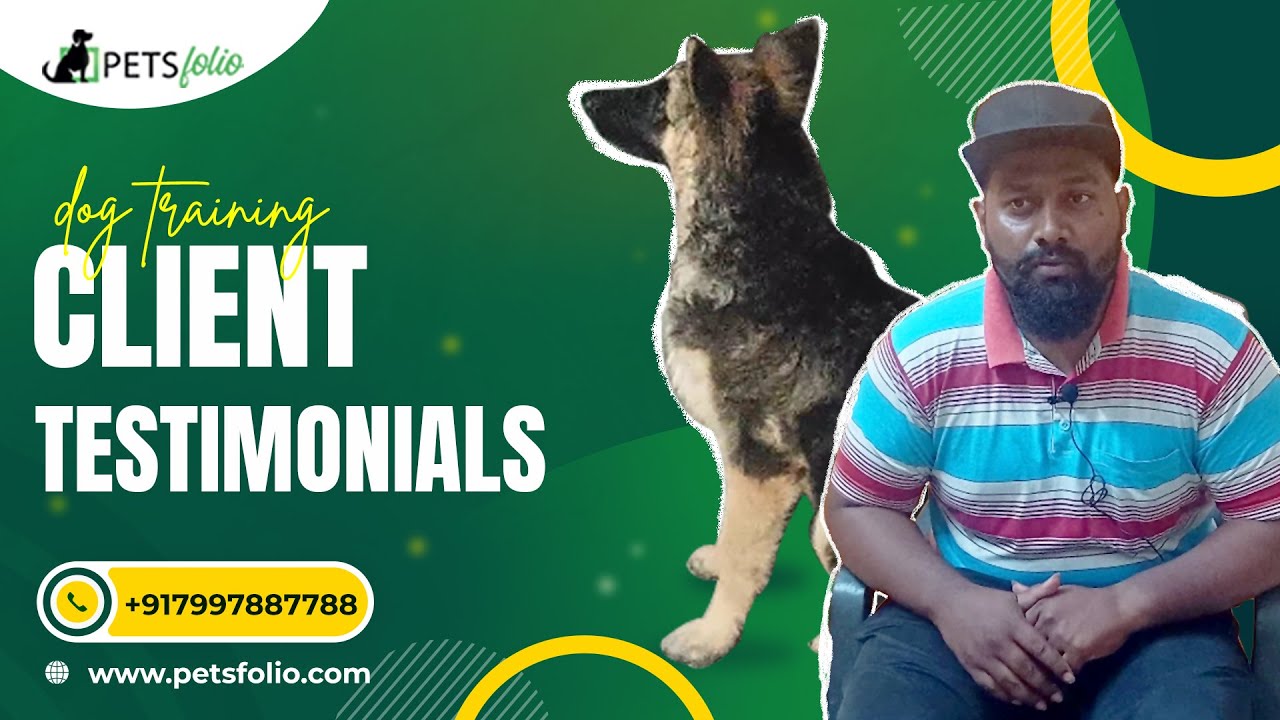 Dog Training Client Testimonial- Petsfolio - YouTube