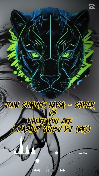 JOHN SUMMIT, HAYLA - SHIVER Vs WHERE YOU ARE (Mashup Gunsv DJ BR) #dj #music @JohnSummit - YouTube