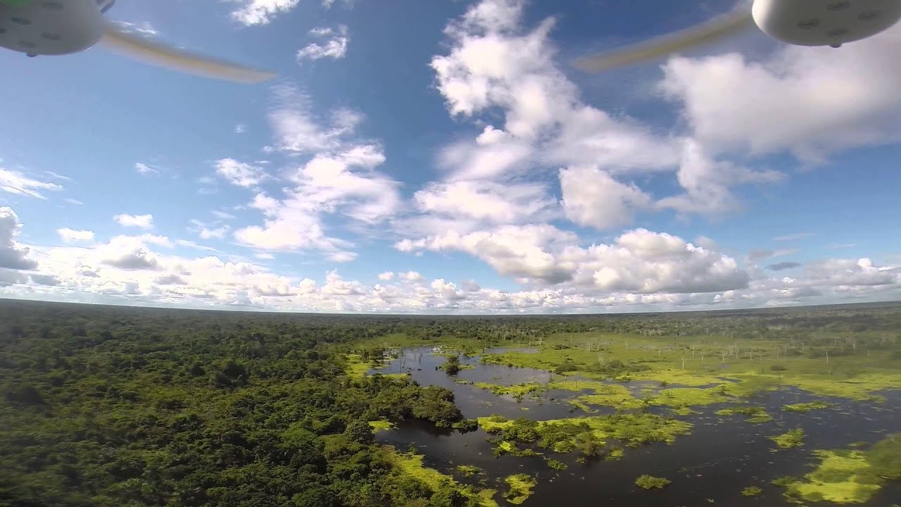 Amazon - A view over the Amazon river 2014 part 3 - YouTube