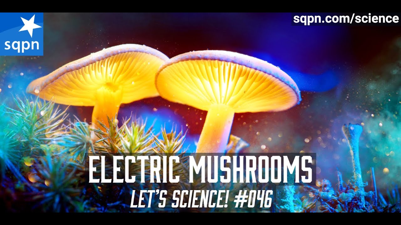 Electric Mushrooms - Let's Science! - YouTube