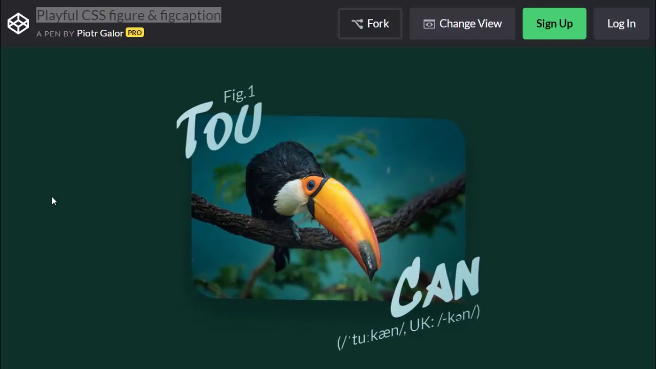 Free Code-Snippets :- Playful CSS figure & figcaption | HTML | CSS | Java-Script - YouTube